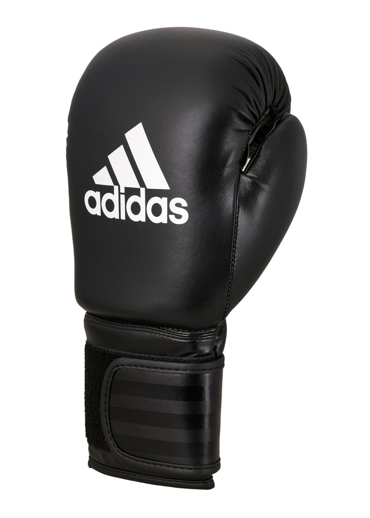 Boxing – SNT Sports